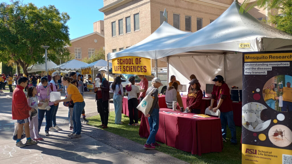 ASU Homecoming 2024